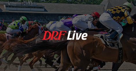 DRF Live